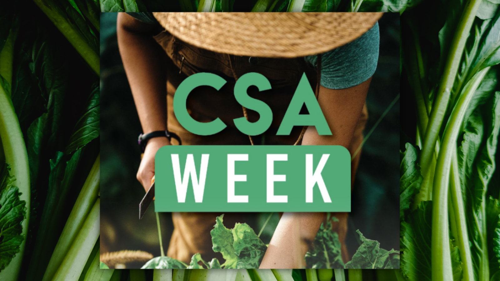 CSA Week Provides CSA Marketing Resources to Farmers | Center for Crop Diversification